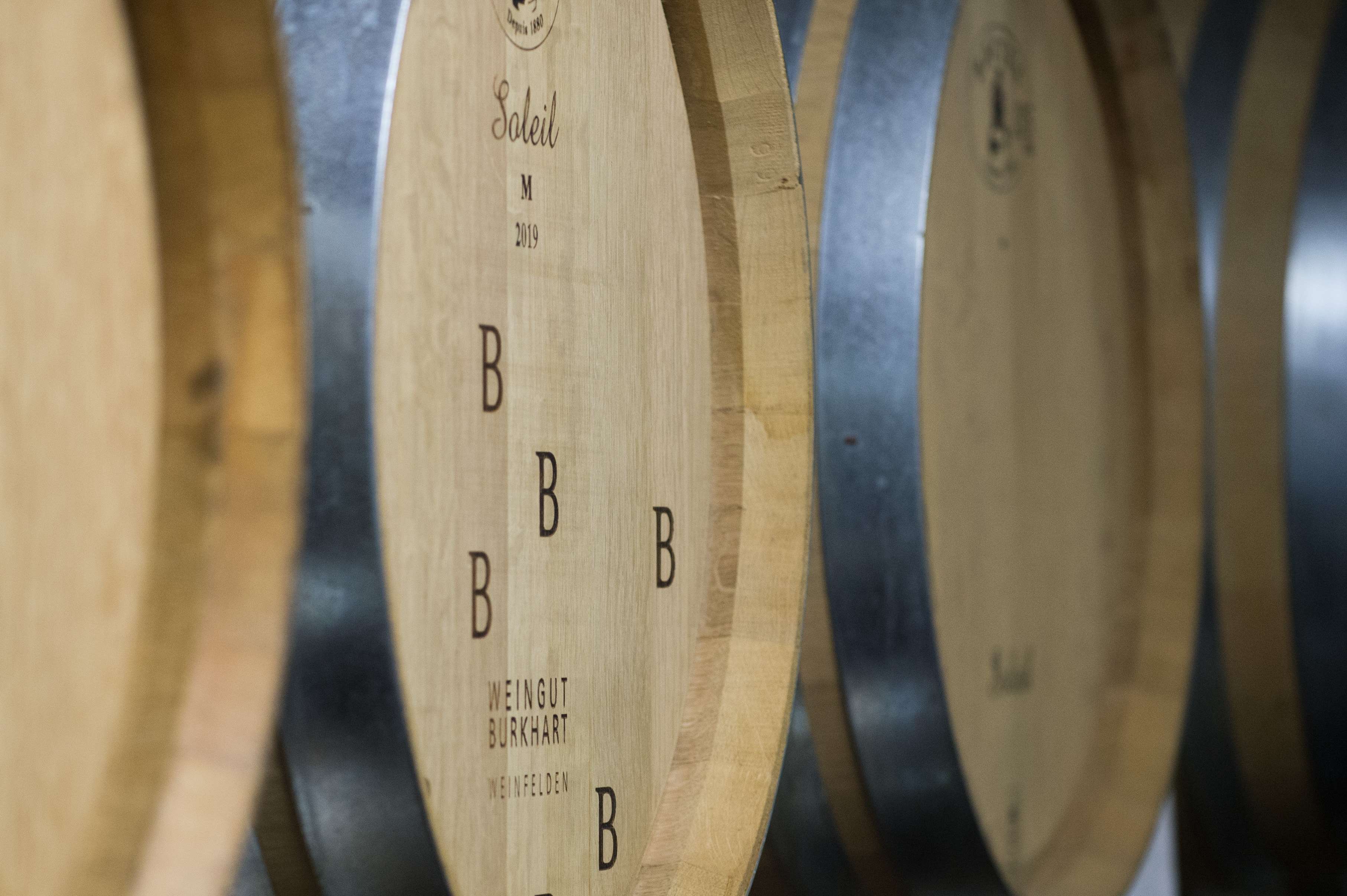 Weinweg Weinfelden – Genussvoller Ausflug durch Thurgauer Rebberge ...